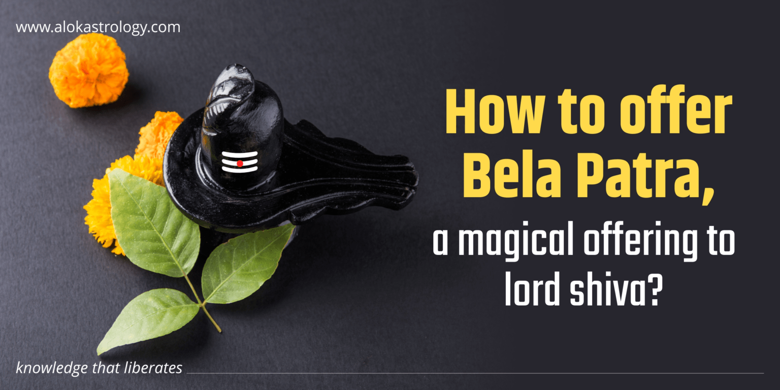 How to offer Bela Patra,a magical offering to lord shiva?