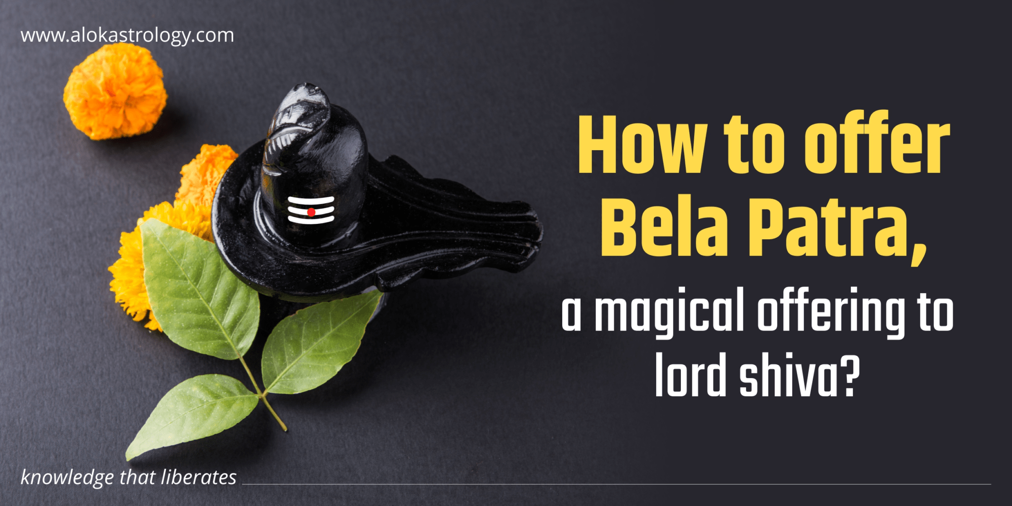How to offer Bela Patra,a magical offering to lord shiva?